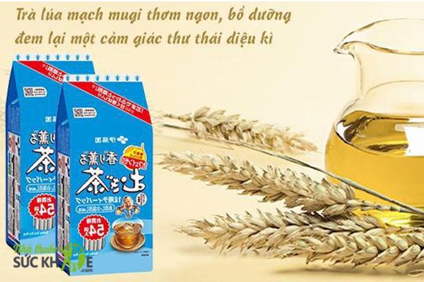 TOP 7 sản phẩm thanh lọc cơ thể được yêu thích hiện nay