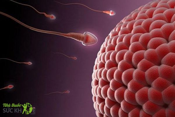 20 cách sinh con trai năm 2025 theo ý muốn bố mẹ đã biết chưa?